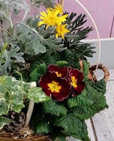 Composition Jardin nature ! - Au cœur d'une fleur à Loudun