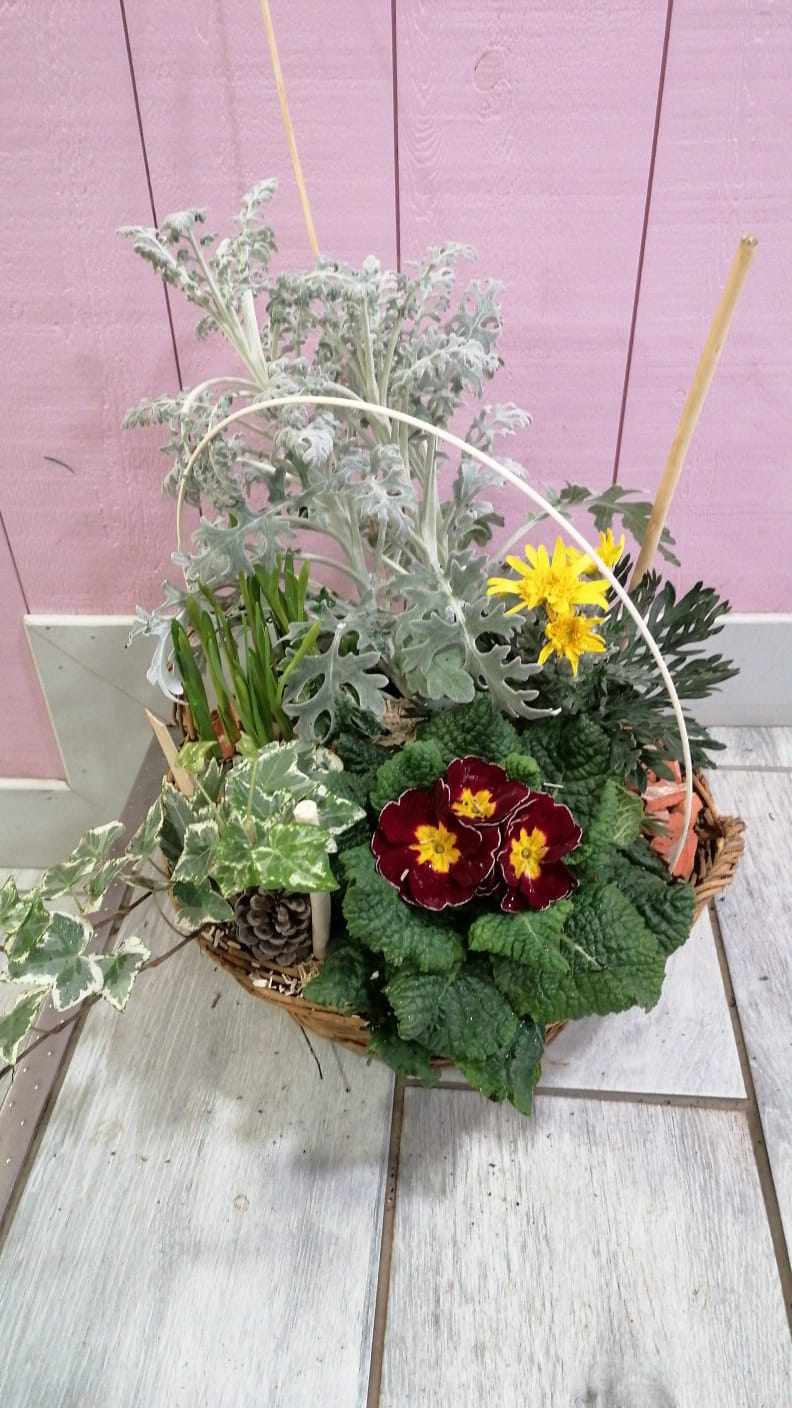 Composition Jardin nature ! - Au cœur d'une fleur à Loudun